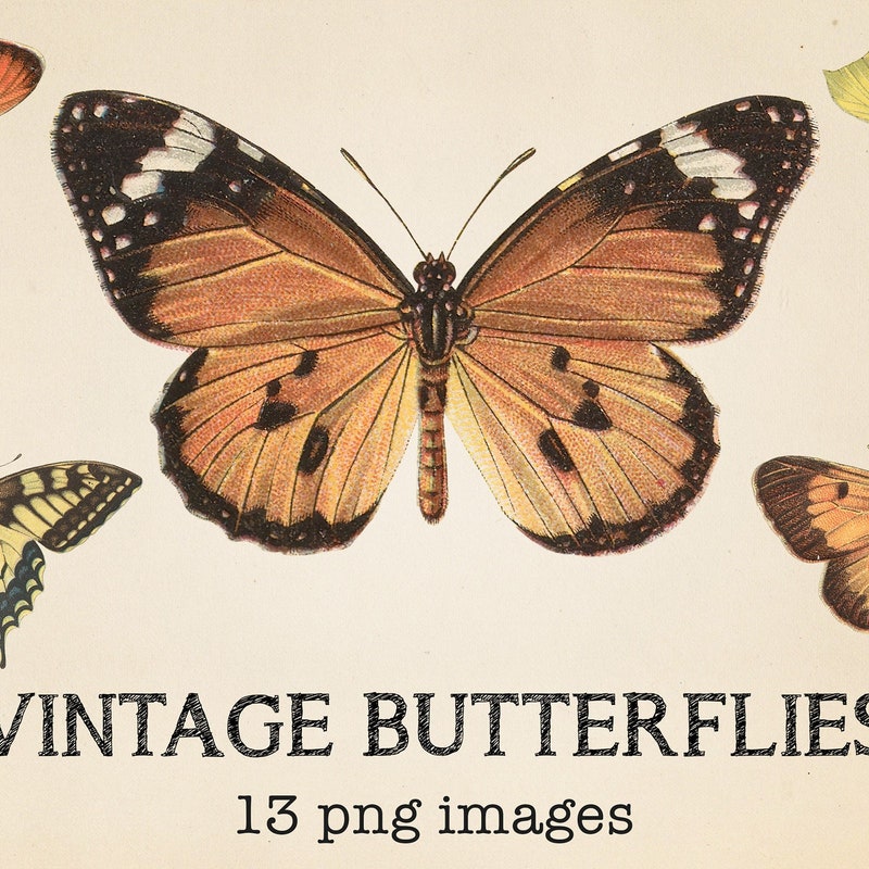 Butterfly Scrapbook - Etsy