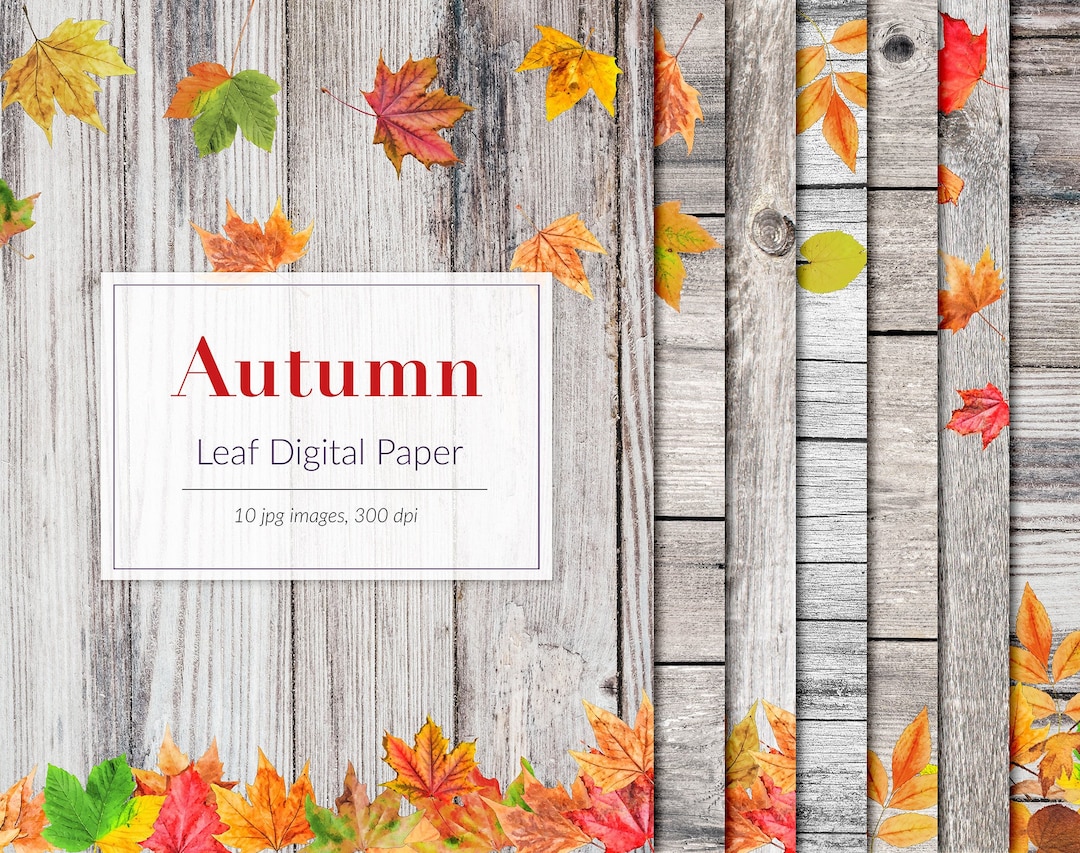 Autumn Digital Paper, Watercolor Leaves and Wood Digital Paper, Falling ...