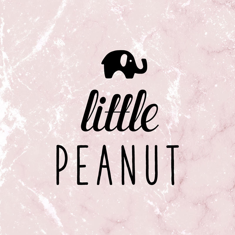 Little Peanut Elephant SVG Baby Elephant Clipart Cutting - Etsy