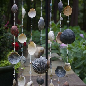 Seashell Wall Art - Etsy