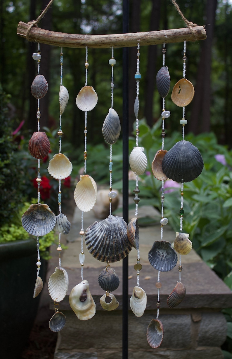 Seashell Wall Art - Etsy