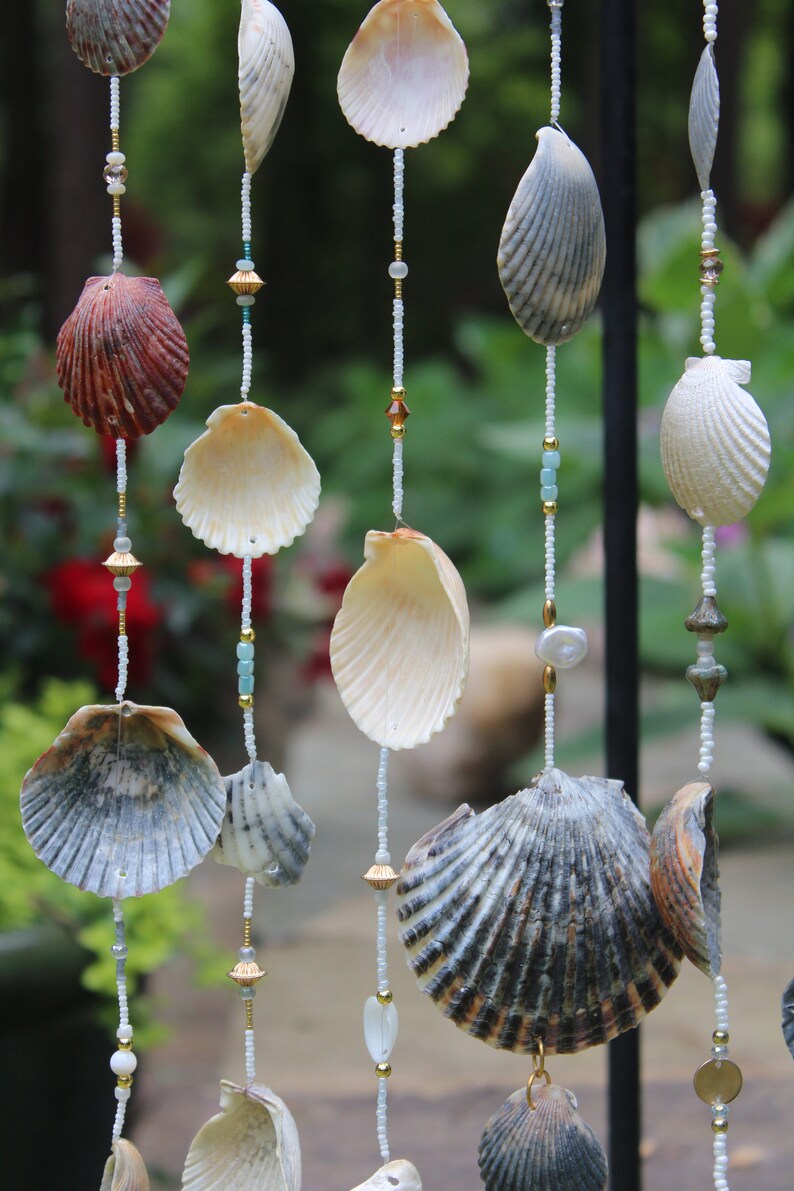 Seashell Wall Art - Etsy