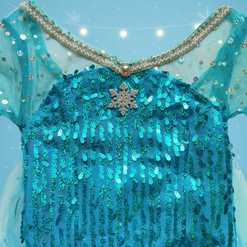 Elsa Frozen Dress PERSONALIZED GIFT SET Ice Queen Elsa Costume Snow ...
