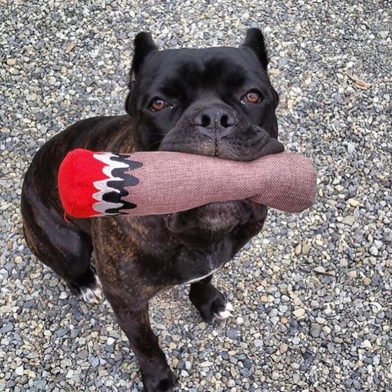 Dooby's blunt Cigar Hemp Dog Toy - Etsy