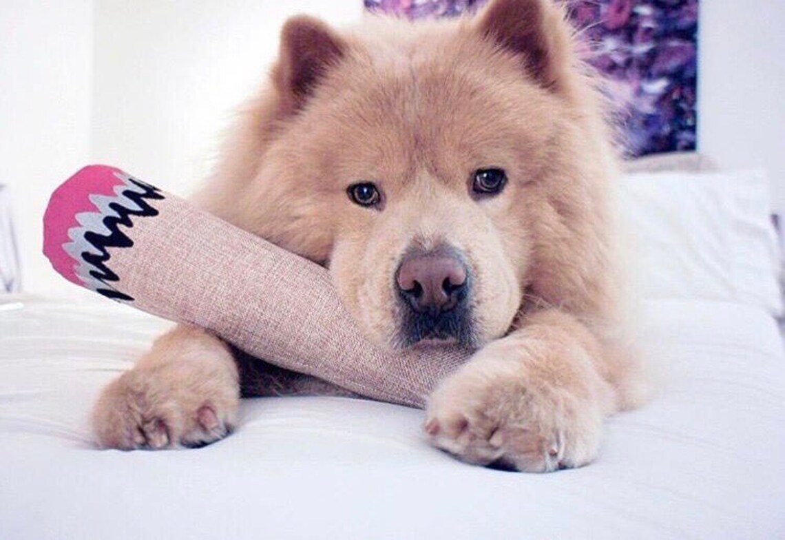 Hemp joint Cigarette Dog Toy - Etsy