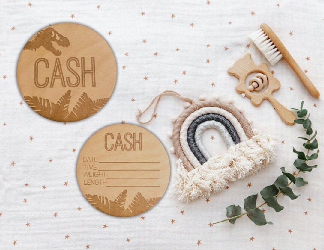 Personalized Jurassic Dinosaur Birth Announcement Sign: Baby Name Decor ...