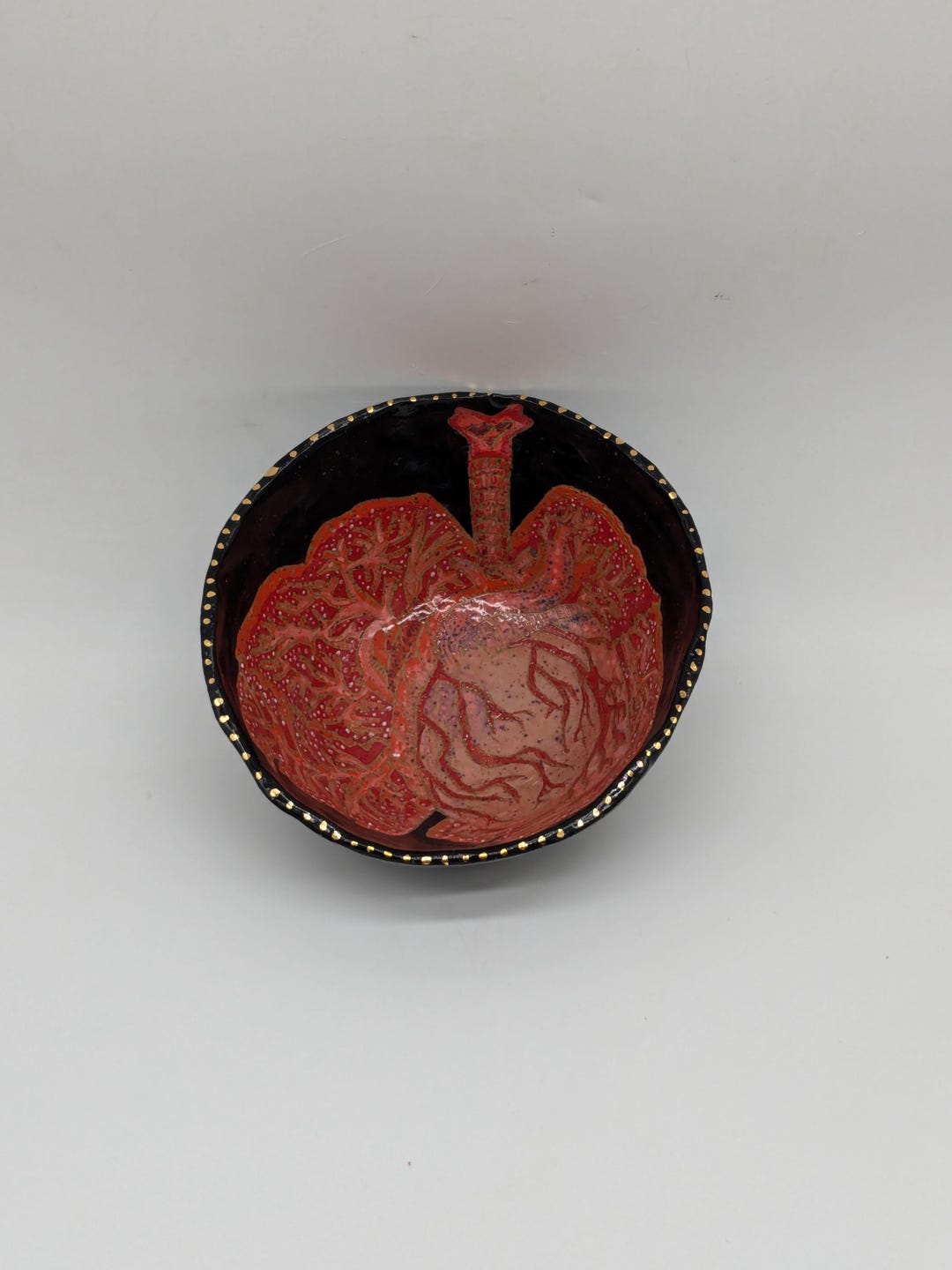 Bowl Anatomical Heart and Lungs - Etsy