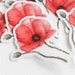 Poppy Vinyl Sticker, Red Poppy Clear Flower Sticker, Watercolor Floral ...