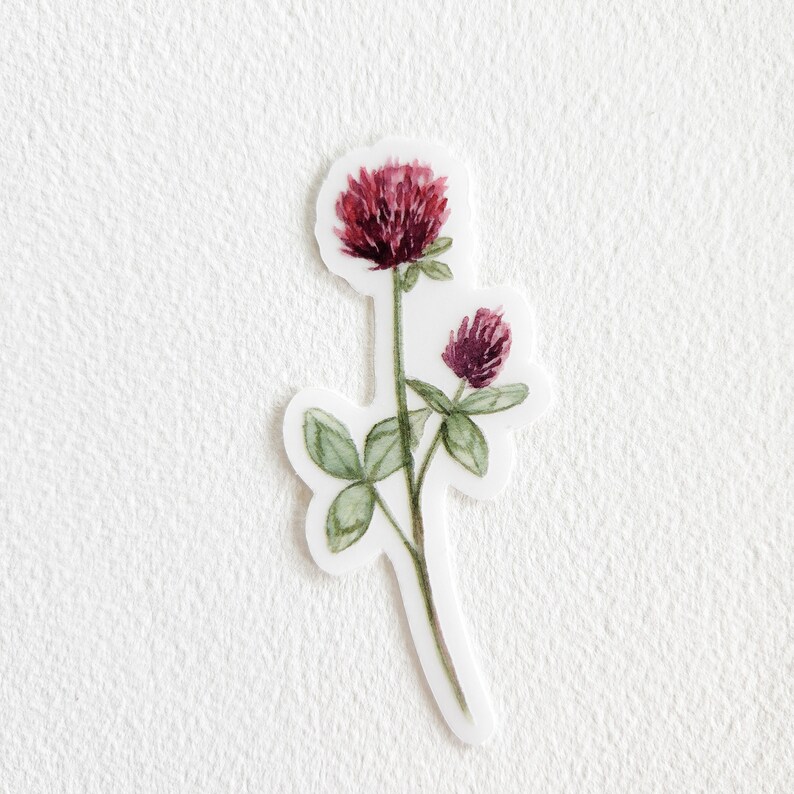 Purple Clover Clear Sticker, Watercolor Wildflower Sticker, Waterproof ...