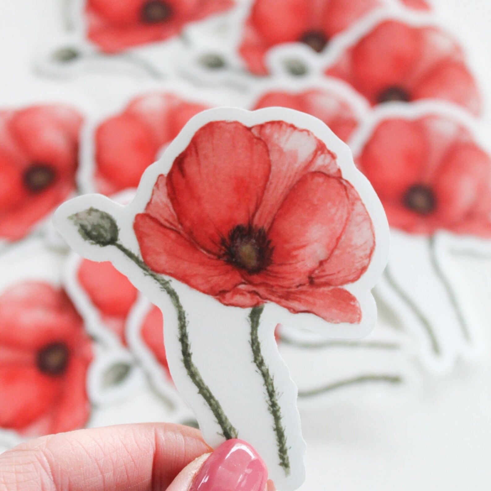 Poppy Vinyl Sticker, Red Poppy Clear Flower Sticker, Watercolor Floral ...