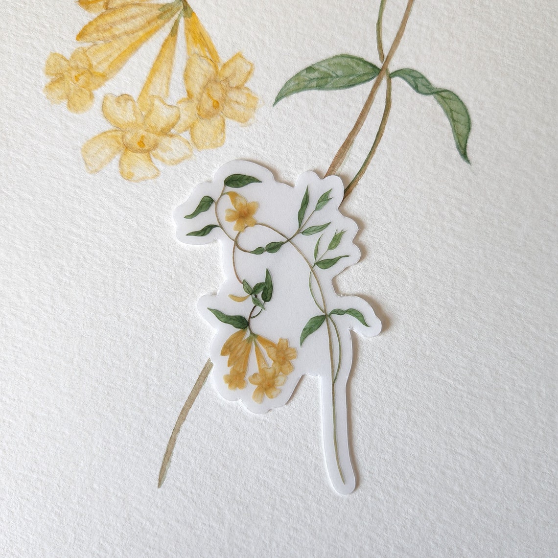 Jessamine Flower Sticker Carolina Yellow Jessamine Sticker Watercolor ...