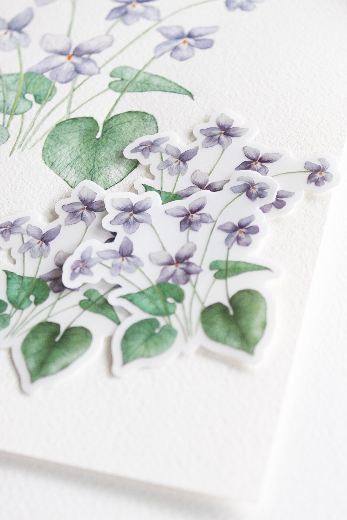 Violet Vinyl Sticker Purple Violet Clear Sticker Cute Violet - Etsy