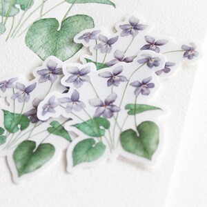 Violet Vinyl Sticker Purple Violet Clear Sticker Cute Violet Flower ...