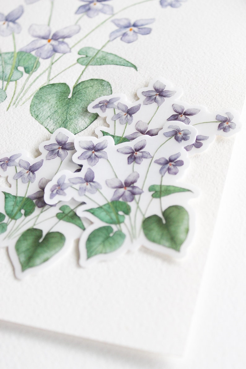 Violet Vinyl Sticker Purple Violet Clear Sticker Cute Violet Flower ...