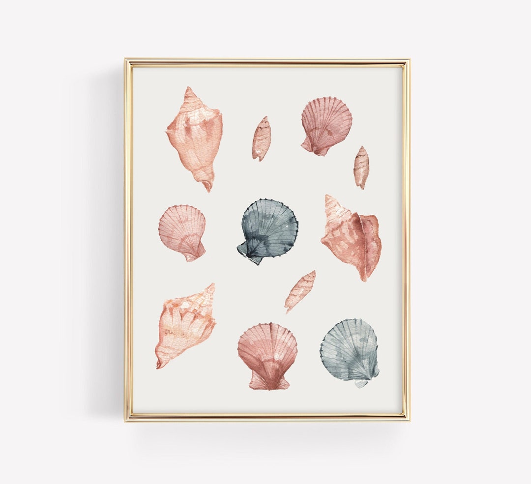 Sea Shell Art Print Ocean Shells Wall Art Sea Shell Collection Print ...