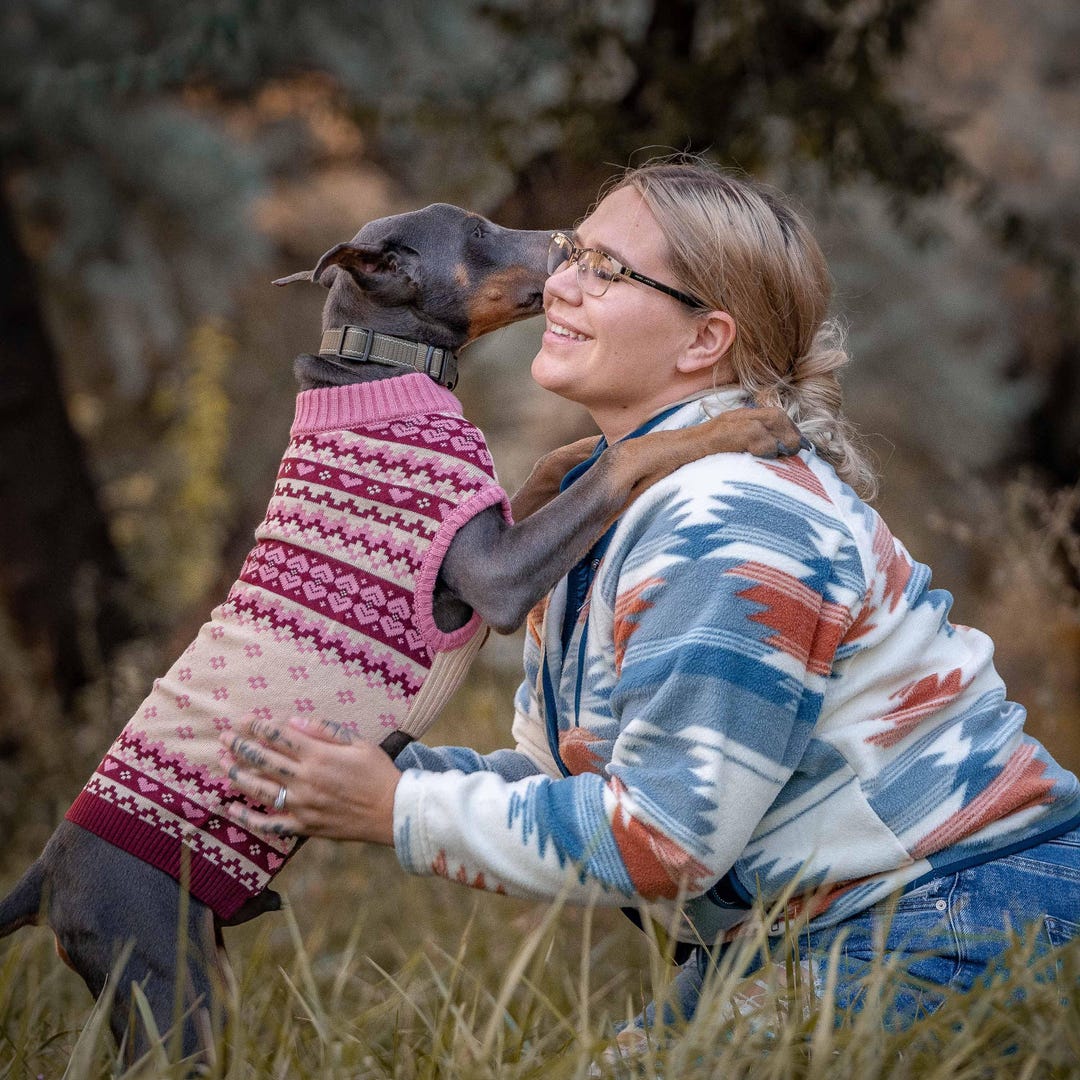 Fair Isle Dog Sweater Cozy Knit for Stylish Pets Warm - Etsy