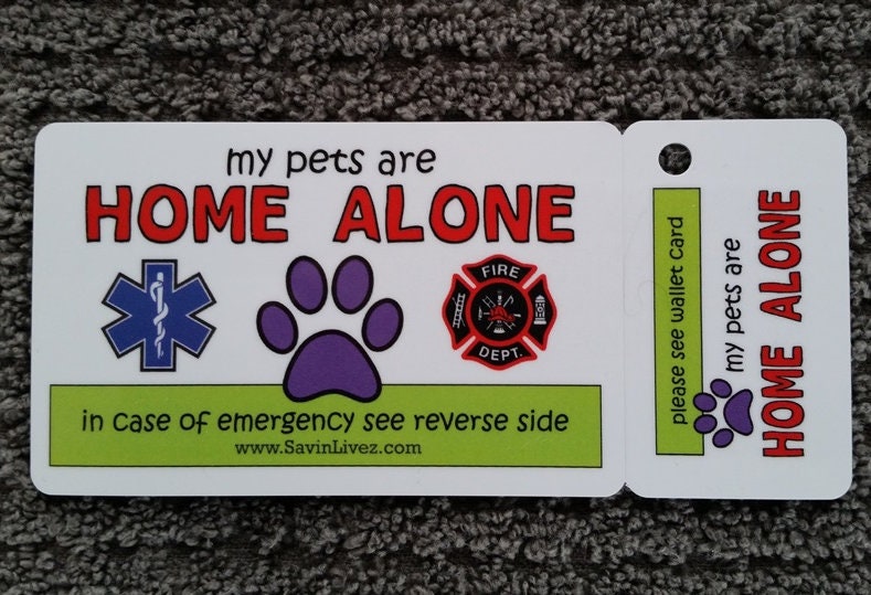 Emergency Contact Key FOB and Wallet Card for Pets Home | Etsy