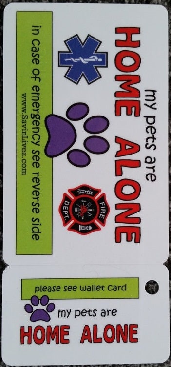 Emergency Contact Key FOB and Wallet Card for Pets Home | Etsy