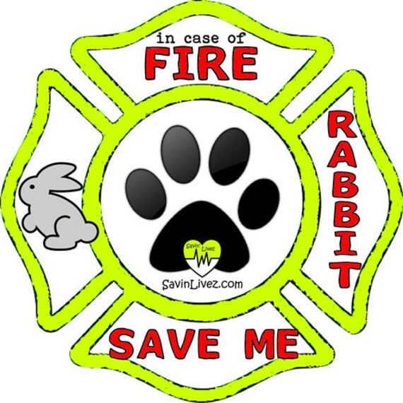 Reflective Rabbit Rescue Decal to Indicate Rabbit Inside in - Etsy