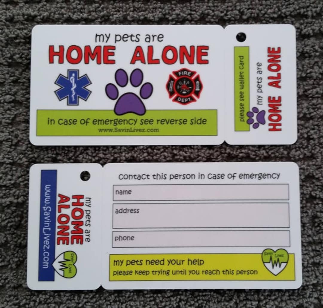 Emergency Contact Key FOB and Wallet Card for Pets - Home Alone - Pet ...