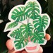 Monstera Vinyl Sticker, Plant Art, Plant Stickers, Monstera Deliciosa ...