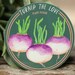 Turnip Sticker, Turnips Art, Vegan Stickers, Vegan Gifts, Turnips ...
