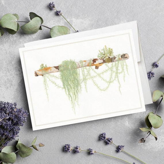 Nature Card Forest Card Woodsy Card Lichen Card PNW Card - Etsy