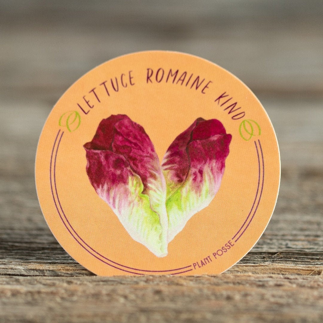 Lettuce Sticker, Romaine, Lettuce, Vegan Sticker, Vegan Gift ...