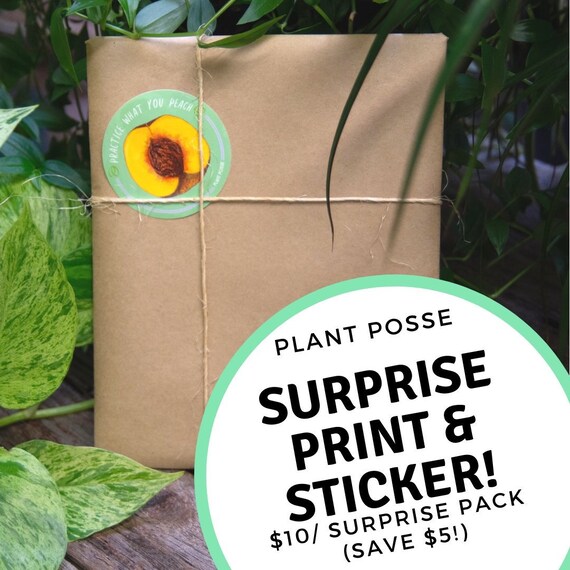 SURPRISE Print & Sticker Pack 8 X 10 Print Sticker Art | Etsy