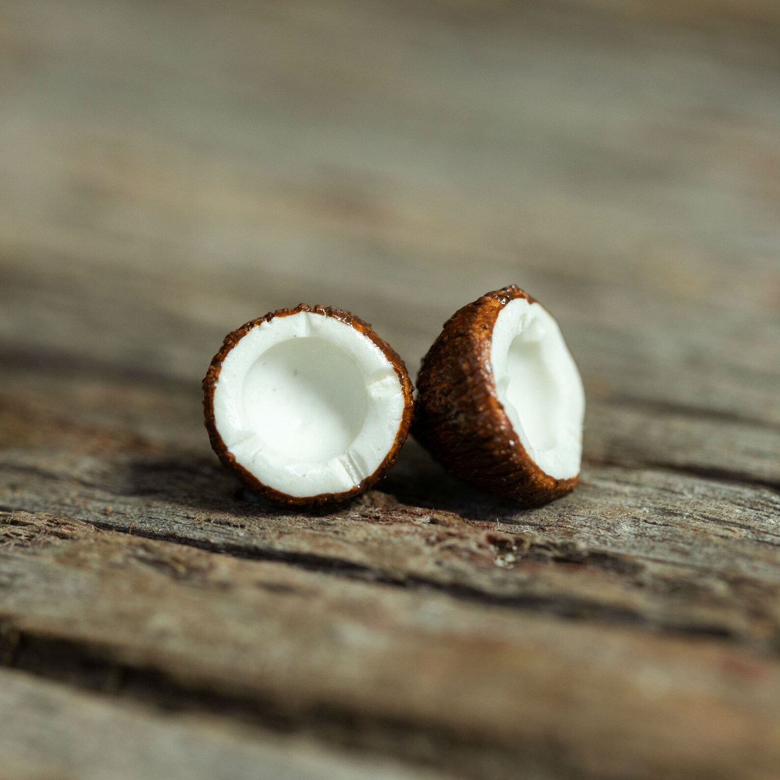 Coconut Stud Earrings Vegan Jewelry Coconuts Stud Earrings | Etsy