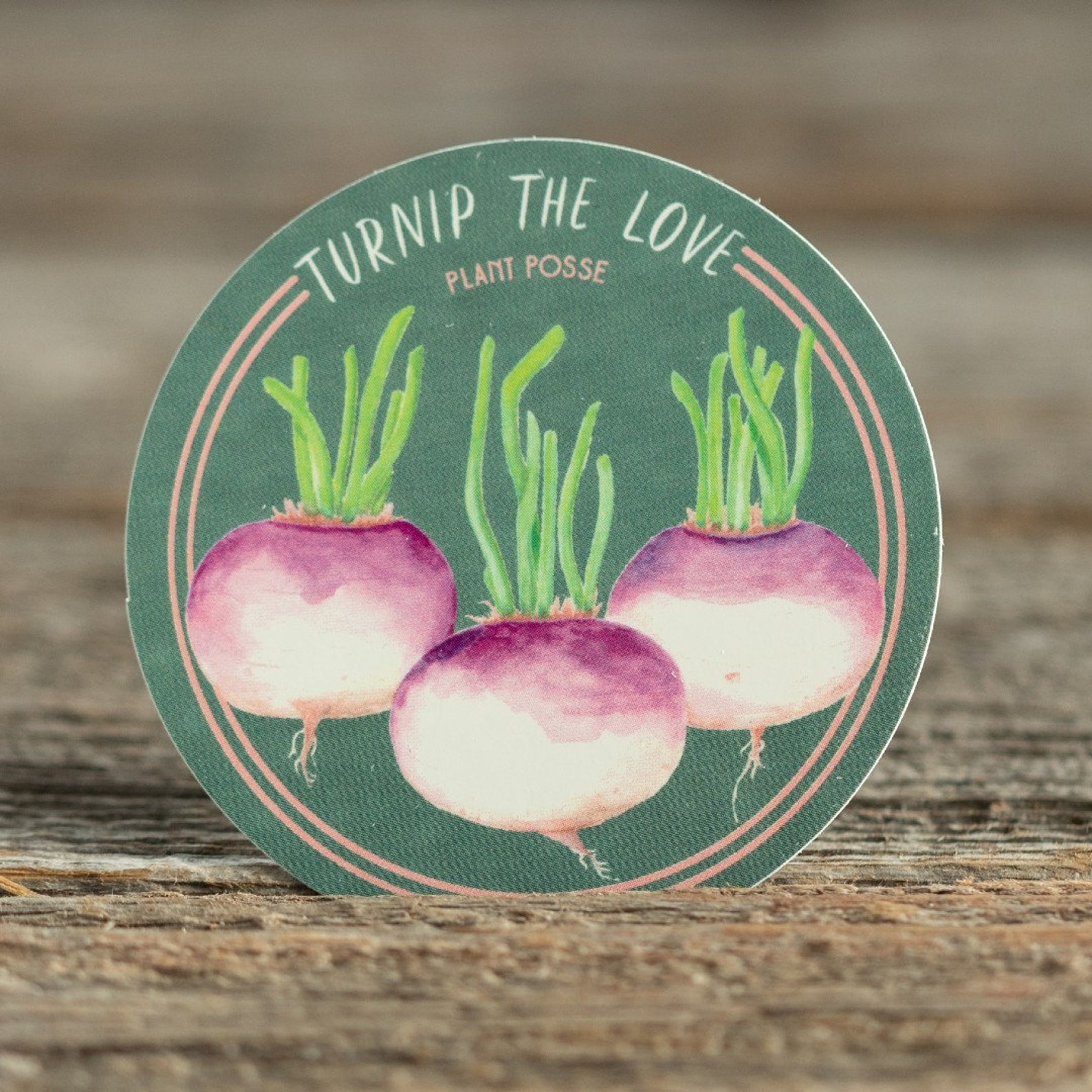 Turnip Sticker Turnips Art Vegan Stickers Vegan Gifts | Etsy