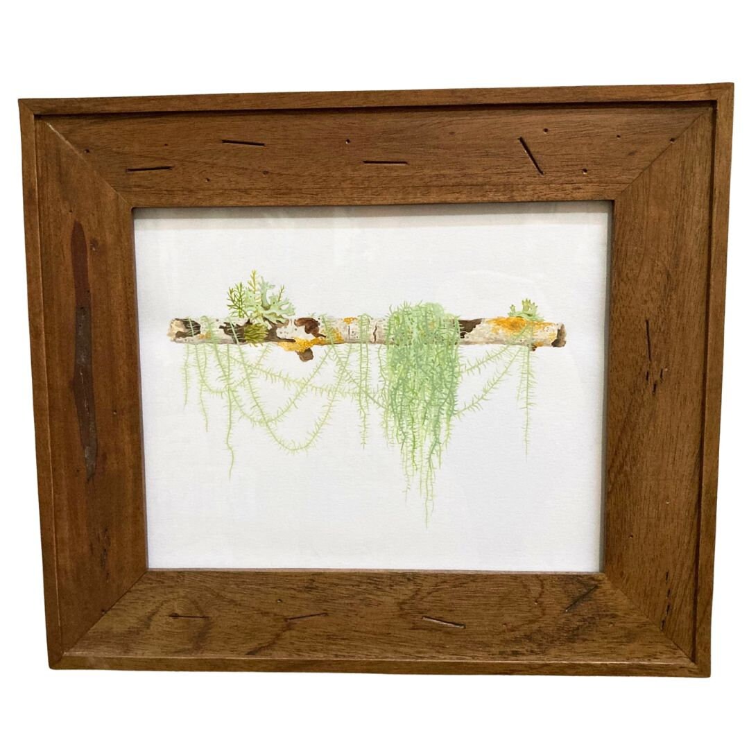 Lichen & Moss Painting, Watercolor Painting, Nature Art, Nature ...