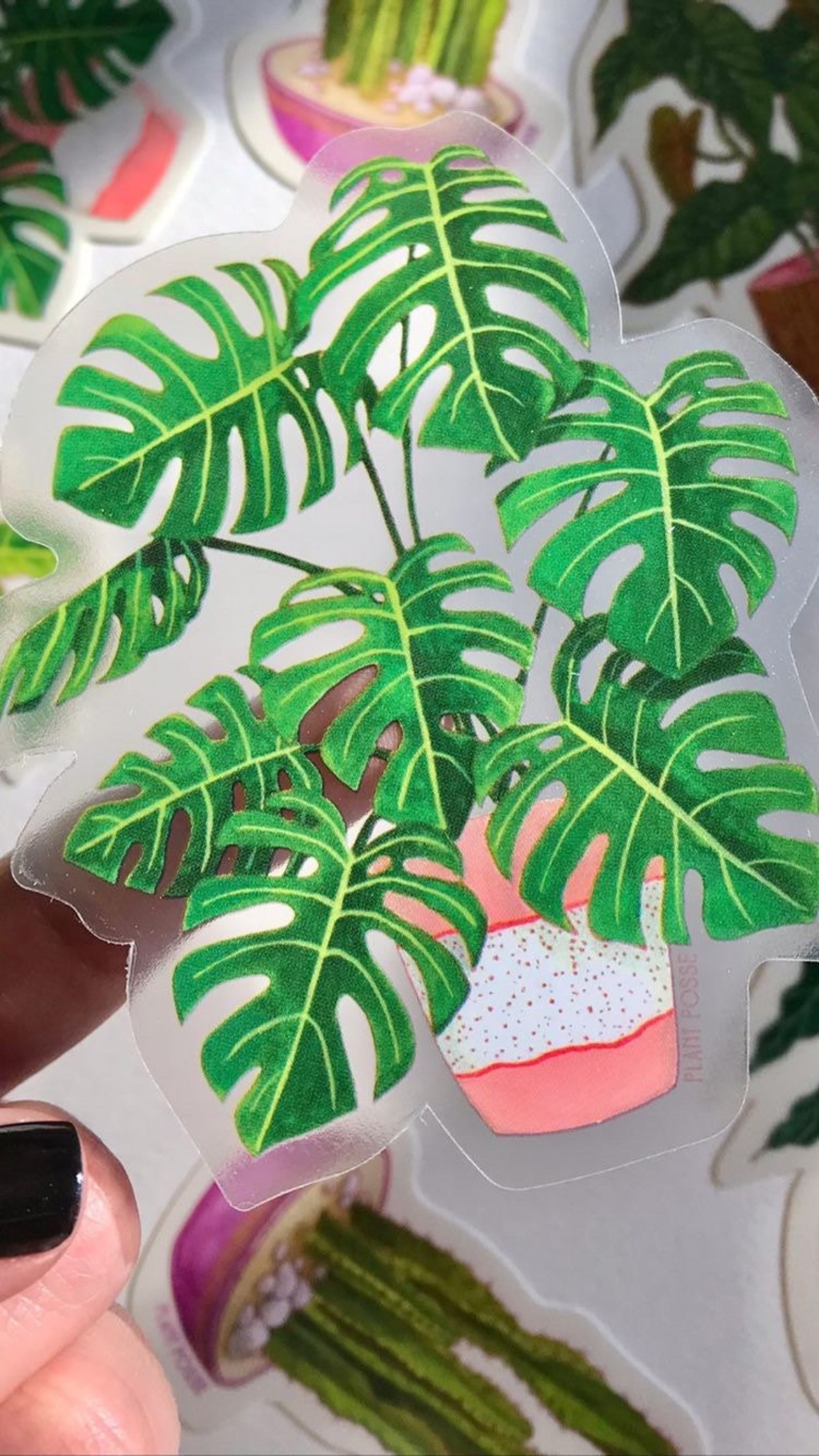 Monstera Vinyl Sticker, Plant Art, Plant Stickers, Monstera Deliciosa ...
