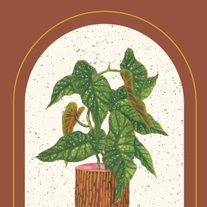 Sympathy Card, Mourning Card, Loss Card, Condolences, Plant Card ...