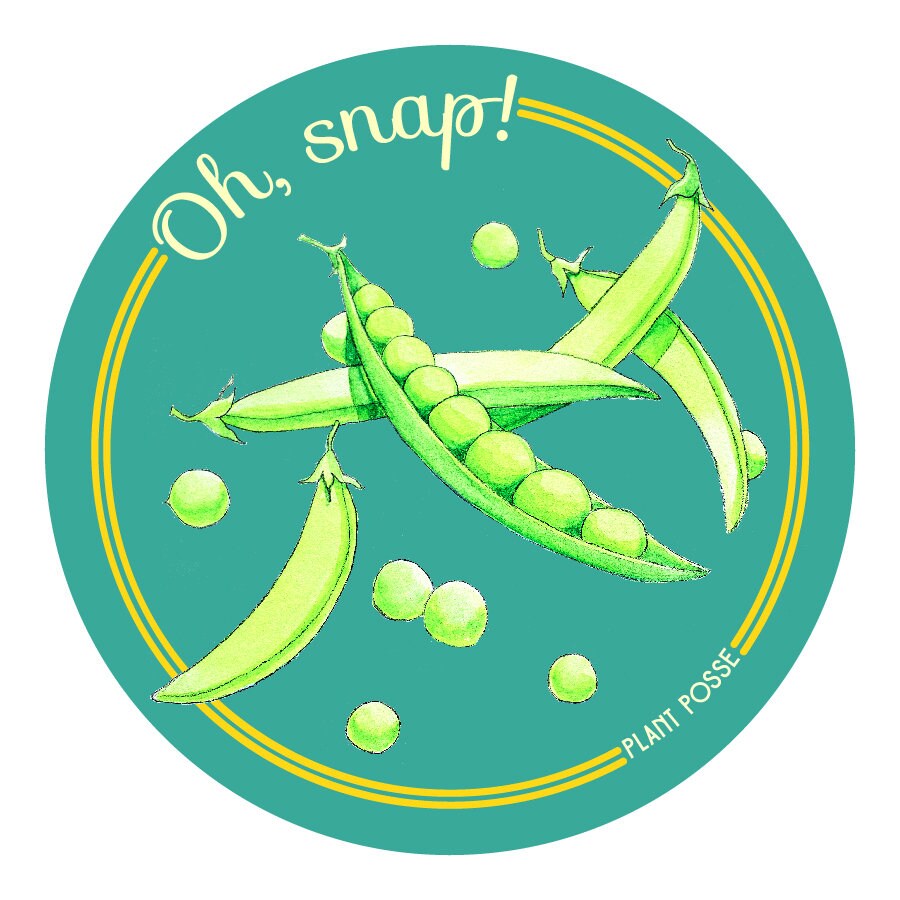 Sugar Snap Peas Sticker, Vegan Sticker, Vegan Gift, Vegetarian Gift ...