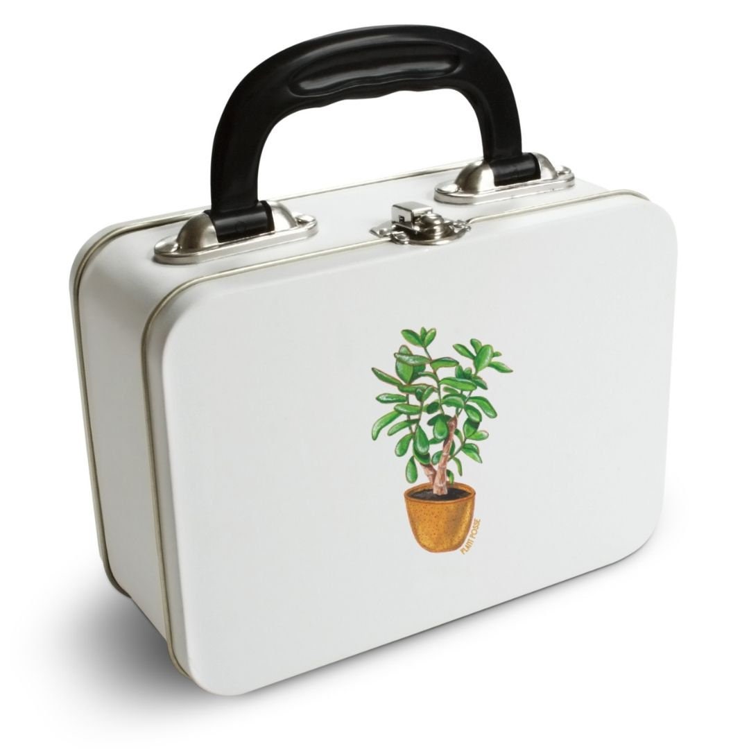 Jade Vinyl Sticker Plant Art Plant Stickers Jade Plant - Etsy