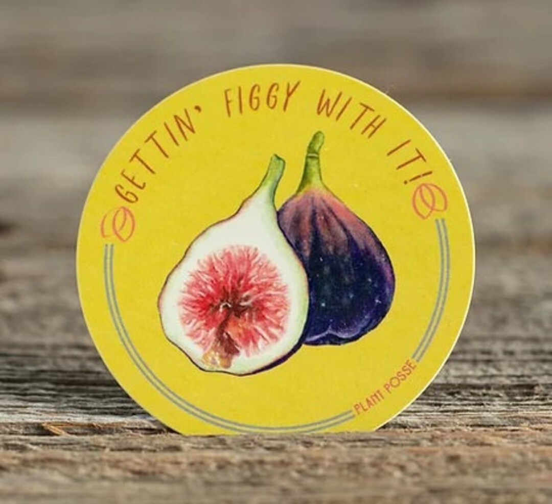 Fig Sticker, Gettin Figgy With It, Punny Sticker, Vegetarian Gifts ...