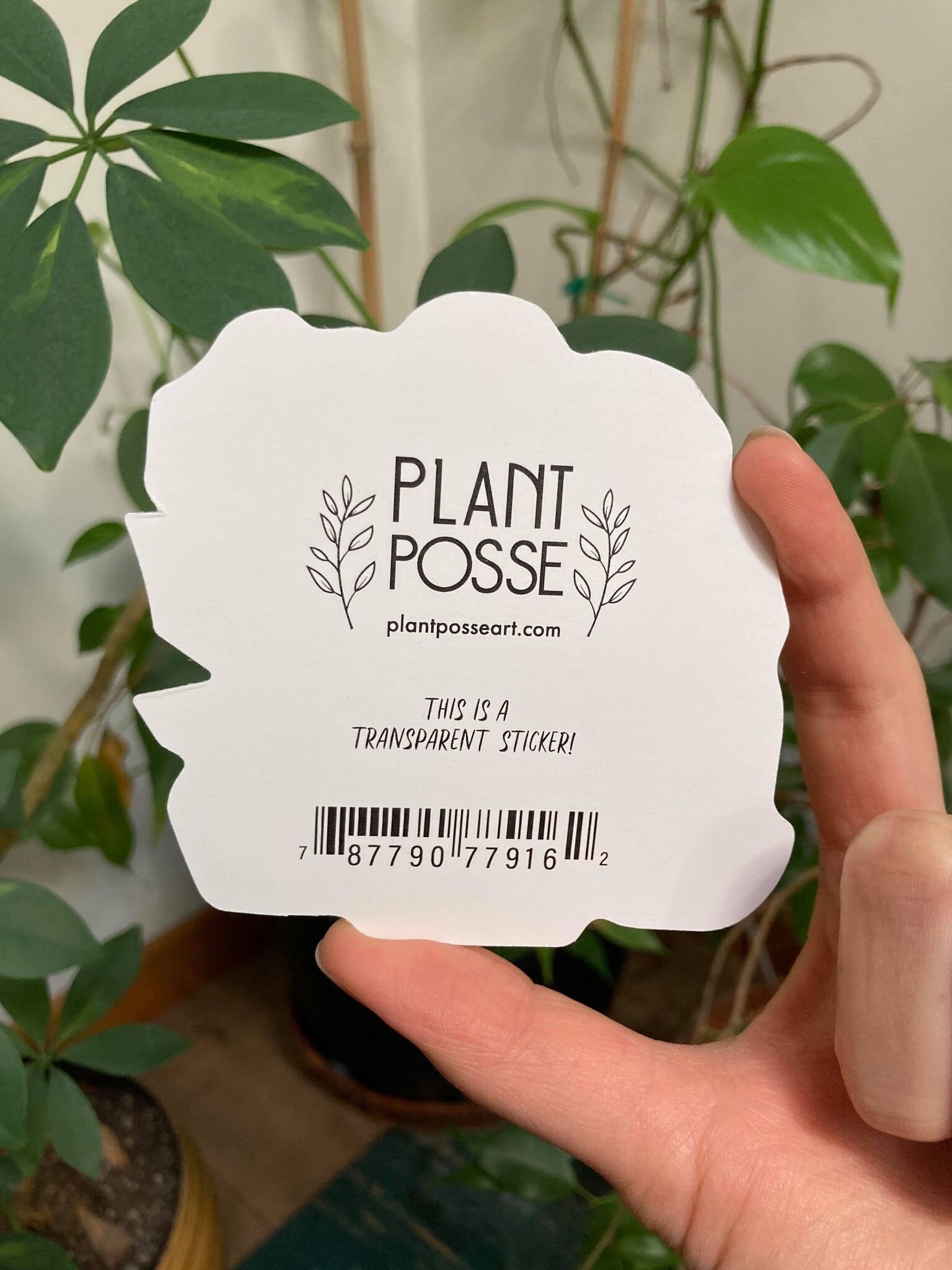 Plant Parenthood Sticker plant art plant stickers plant | Etsy