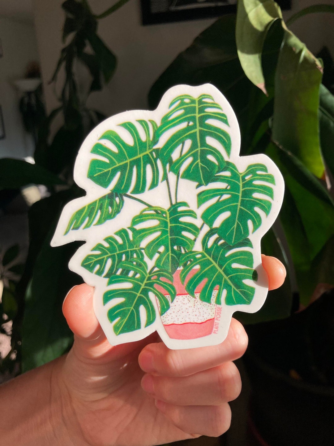 Monstera Vinyl Sticker, Plant Art, Plant Stickers, Monstera Deliciosa ...
