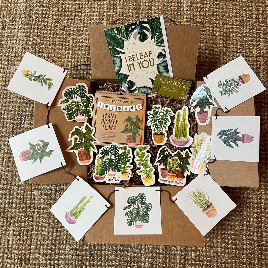 Houseplant Gift Set, Plants, Houseplants, Gift Box, Gifts Under 50 ...