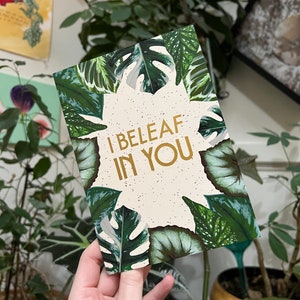 Houseplant Gift Set, Plants, Houseplants, Gift Box, Gifts Under 50 ...