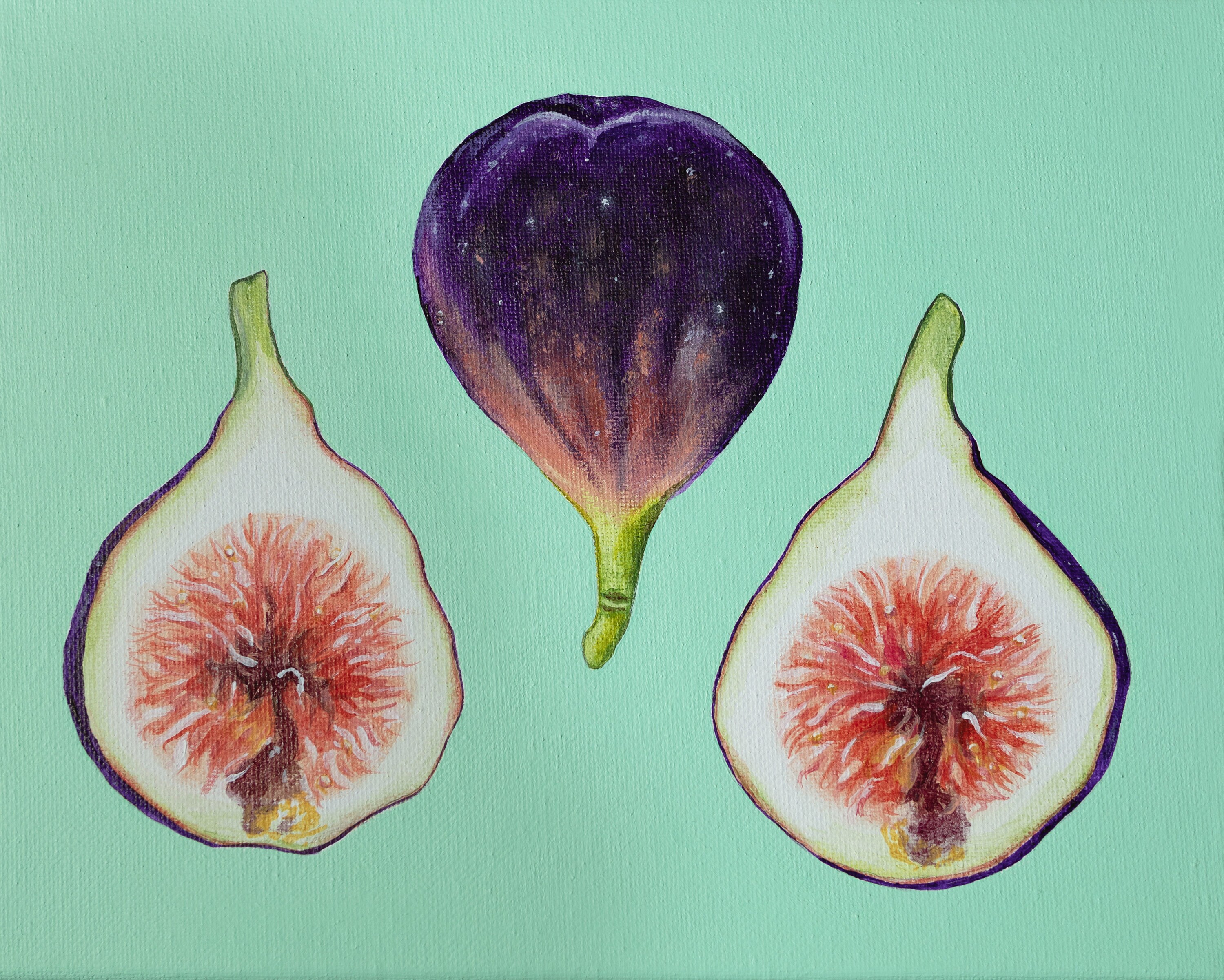 Figs Print Vegan Art Fruit Art Eco Friendly Art Prints | Etsy