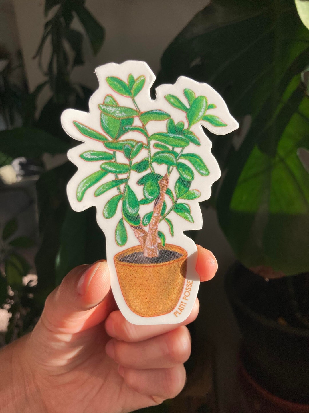 Jade Vinyl Sticker, Plant Art, Plant Stickers, Jade Plant, Houseplants ...