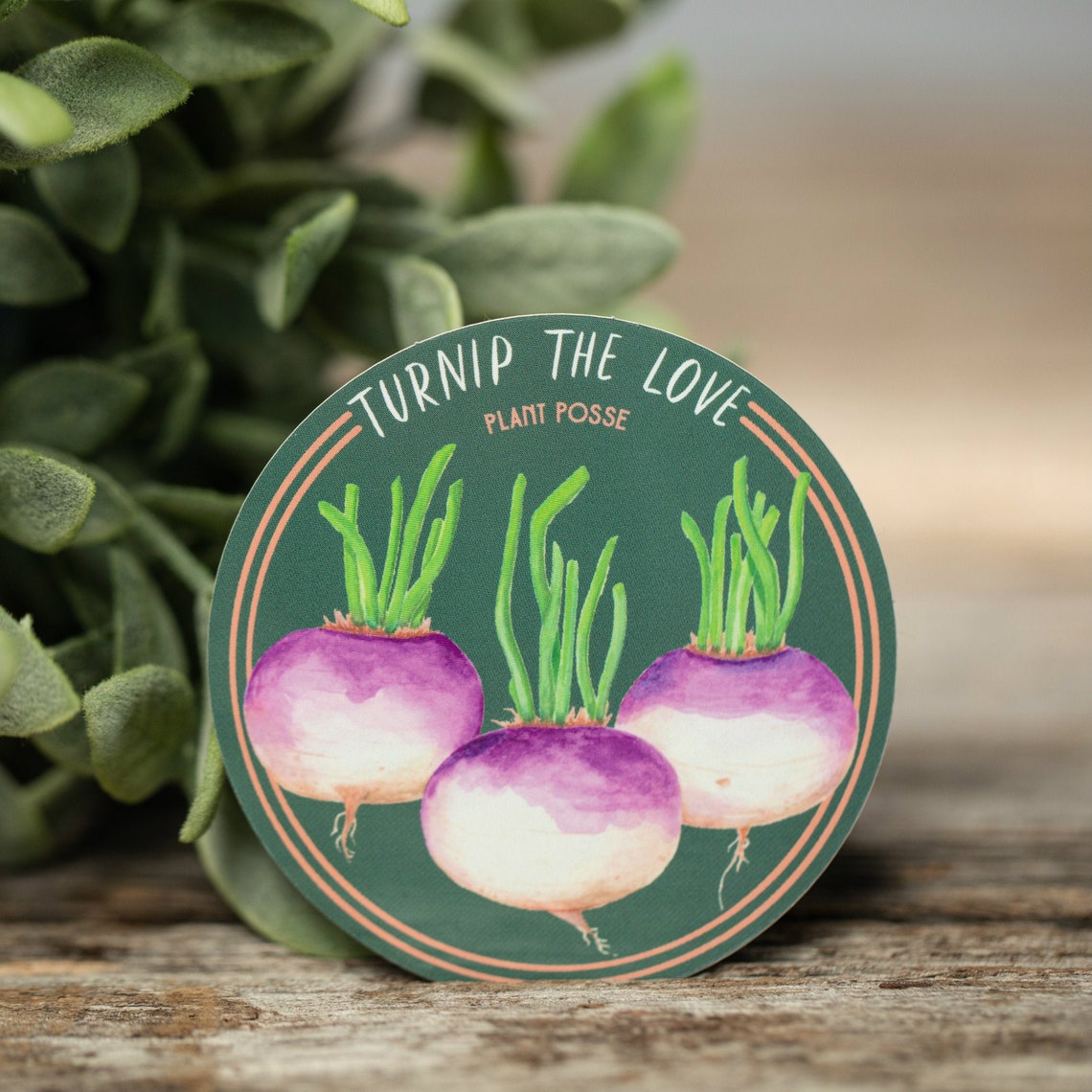 Turnip Sticker, Turnips Art, Vegan Stickers, Vegan Gifts, Turnips ...