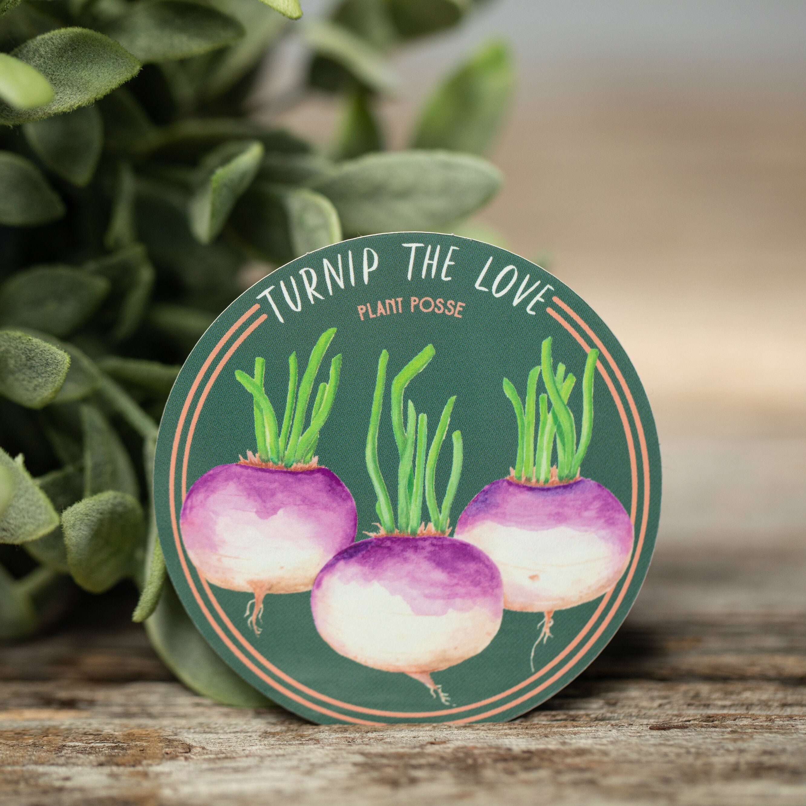 Turnip Sticker Turnips Art Vegan Stickers Vegan Gifts | Etsy