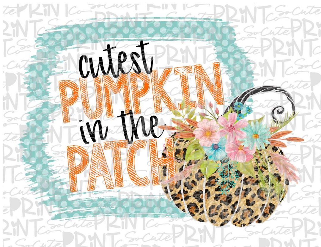 Pumpkin Cutest Pumpkin in the Patch Transparent PNG File for - Etsy
