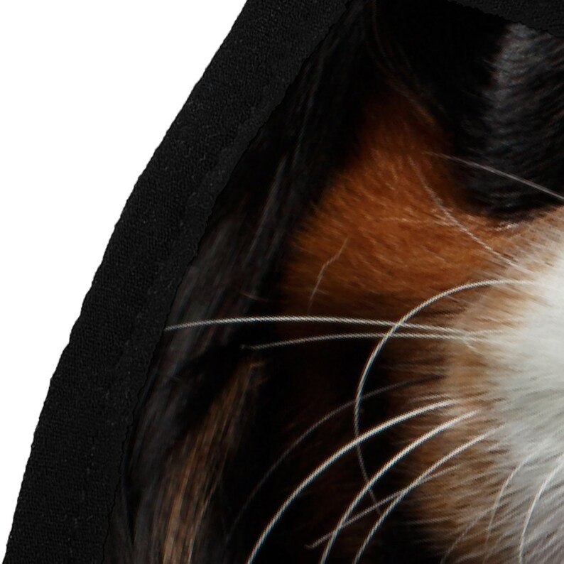 King Charles Spaniel Face Mask Dog Face Mask Cavalier King - Etsy