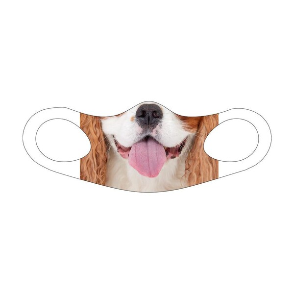 Cavalier King Charles Face Mask - Etsy