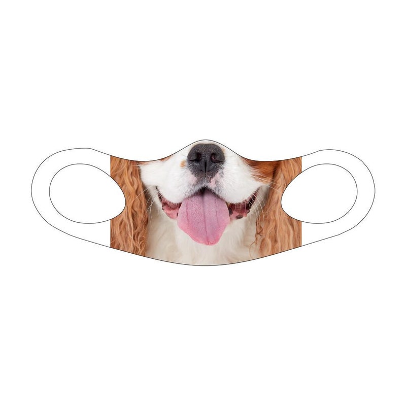 Cavalier King Charles Face Mask - Etsy