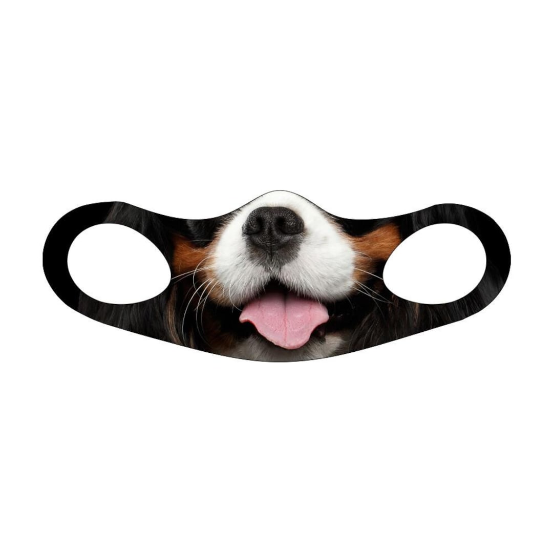 King Charles Spaniel Face Mask, Tricolor Cavalier King Charles Spaniel ...
